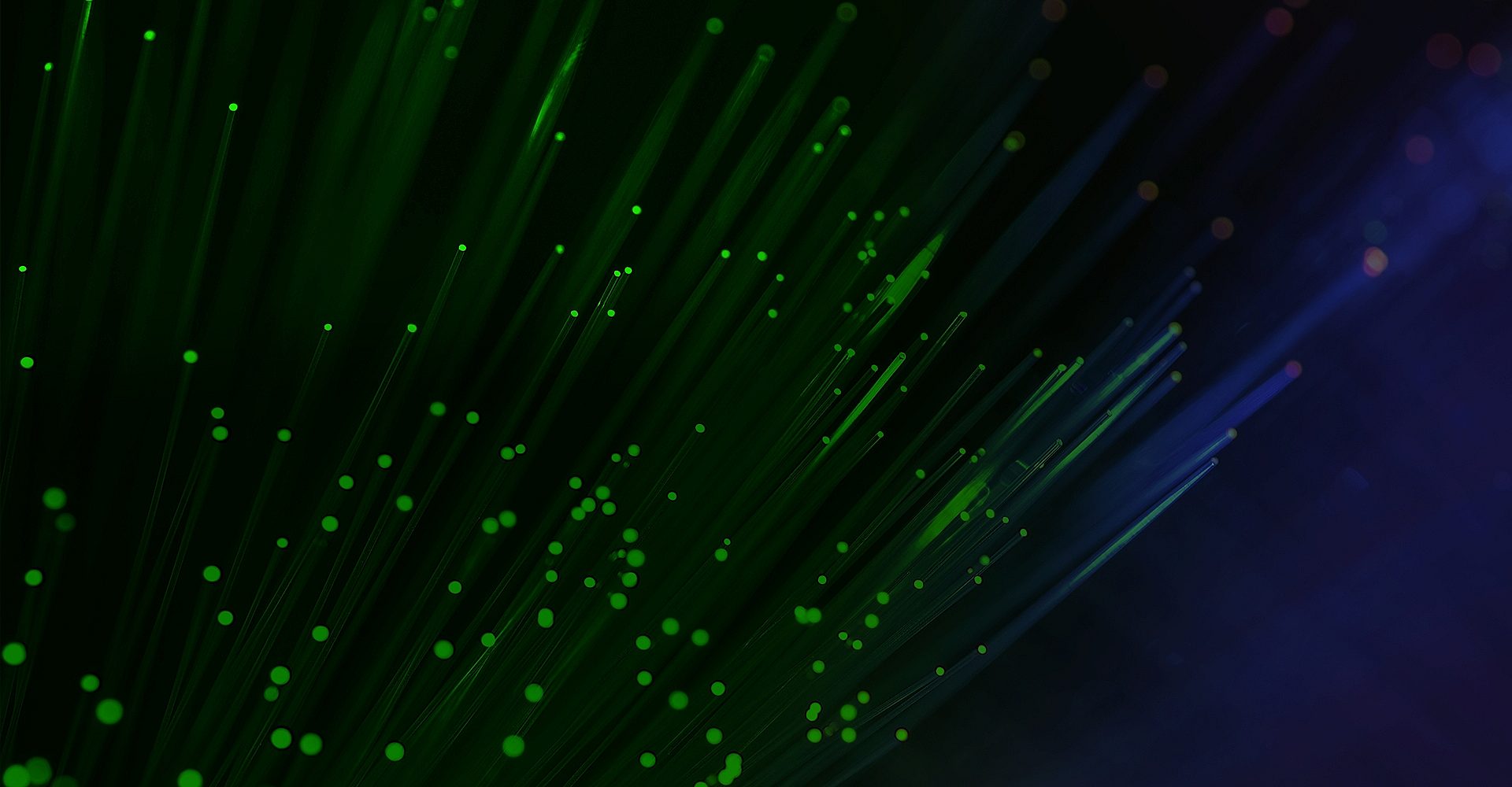 KPN at a glance - KPN